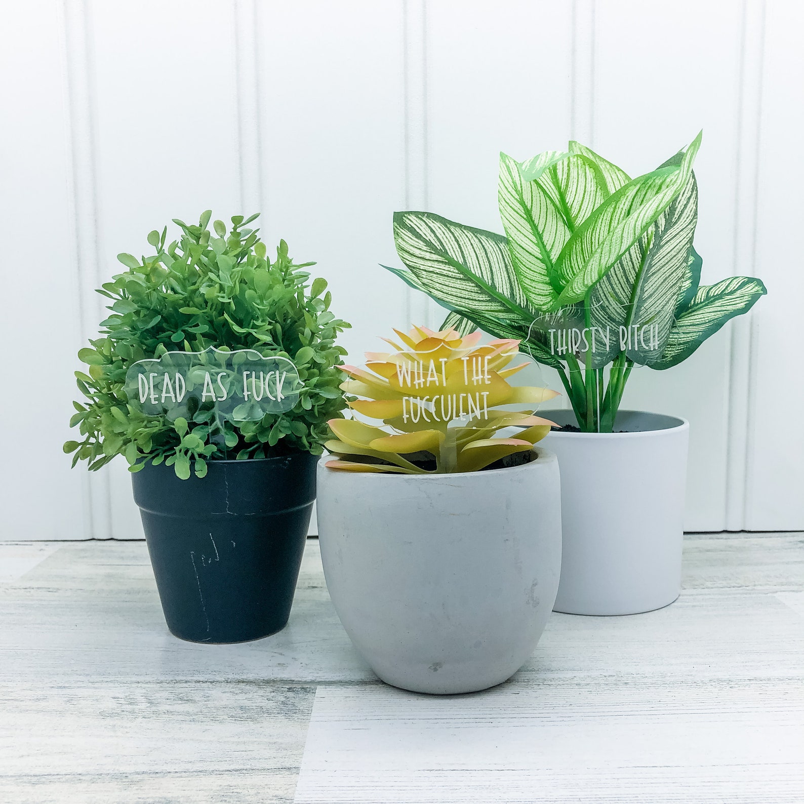 Funny Plant Tags Inappropriate Plant Names Indoor Plant | Etsy