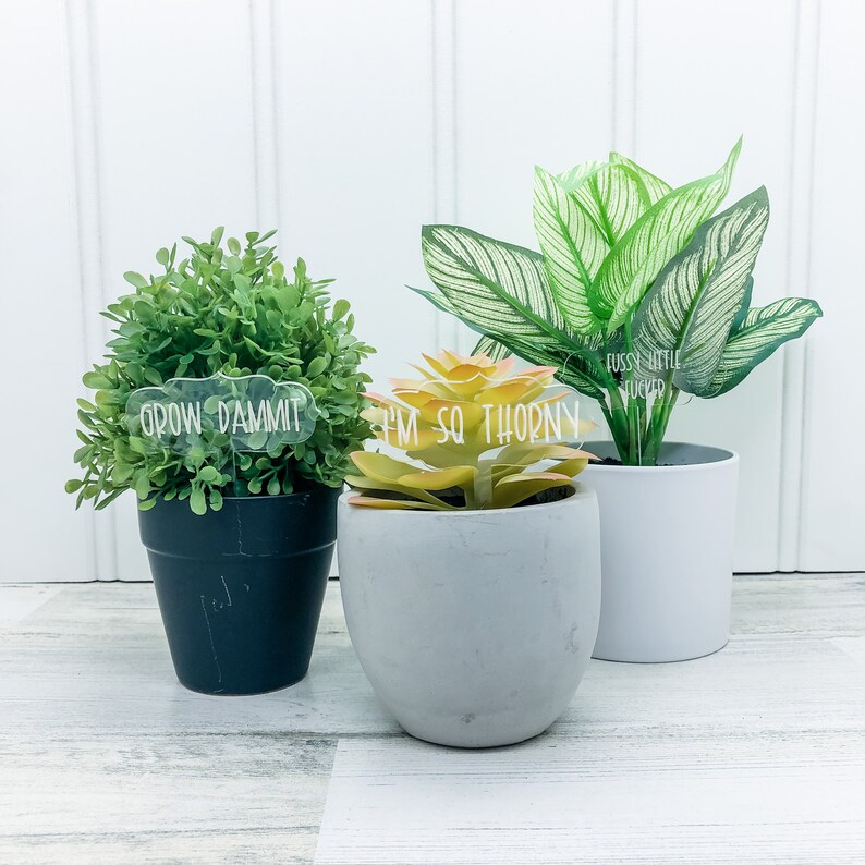 Funny Plant Tags - Inappropriate Plant Names - Indoor Plant Stakes ...