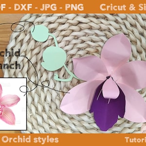 04 Orchids Paper Flowers Templates SVG PDF DXF Jpg Png, Diy Paper ...
