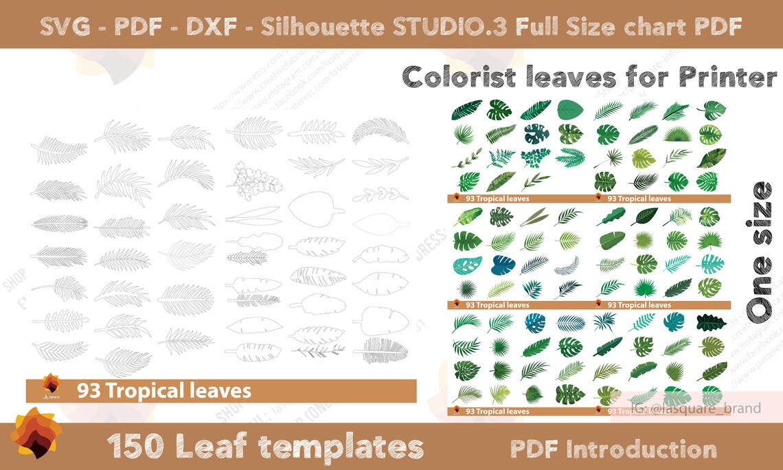 150 Paper Leaves Templates Paper Leaf & Vine Templates | Etsy
