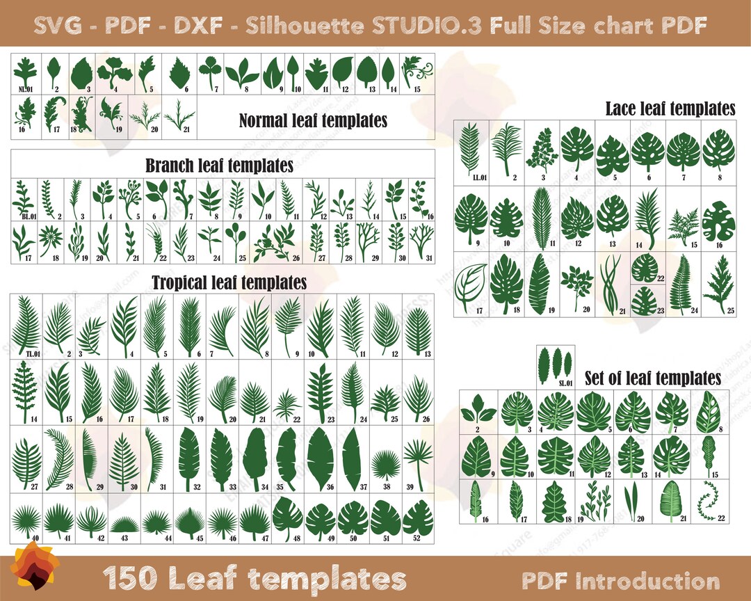 150 Paper Leaves Templates, Paper Leaf & Vine Templates, Banana Leaf ...