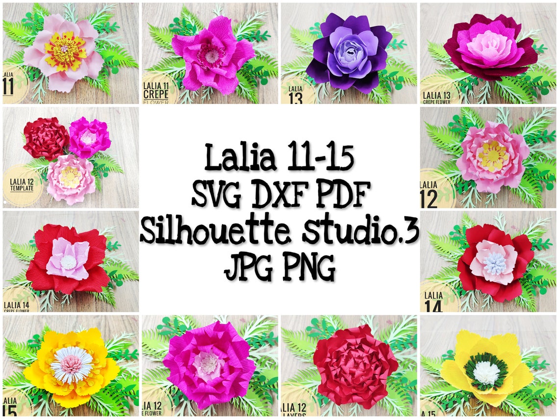 40 Lalia Paper Flower Templates, DIY Backdrop SVG PDF - Etsy