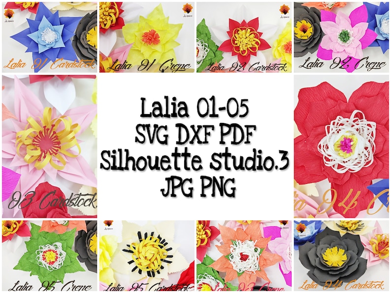 40 Lalia Paper Flower Templates, DIY Backdrop SVG PDF - Etsy