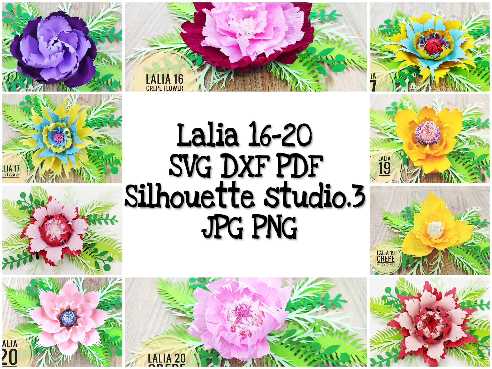 40 Lalia Paper Flower Templates, DIY Backdrop SVG PDF - Etsy