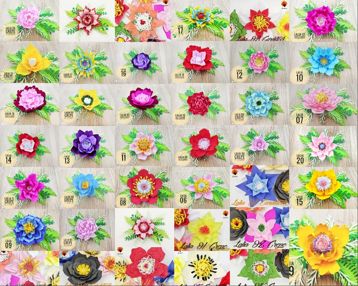 40 Lalia Paper Flower Templates, DIY Backdrop SVG PDF - Etsy