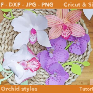 04 Orchids Paper Flowers Templates SVG PDF DXF Jpg Png, Diy Paper ...