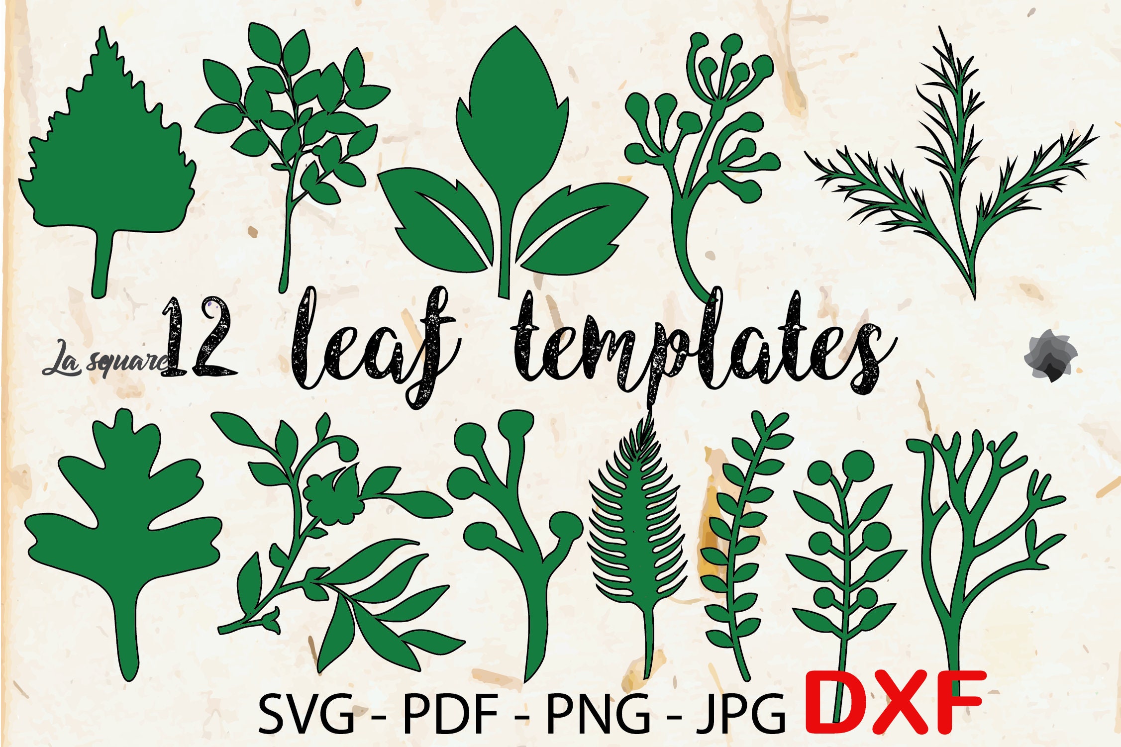 40 Lalia Paper Flower Templates, DIY Backdrop SVG PDF - Etsy