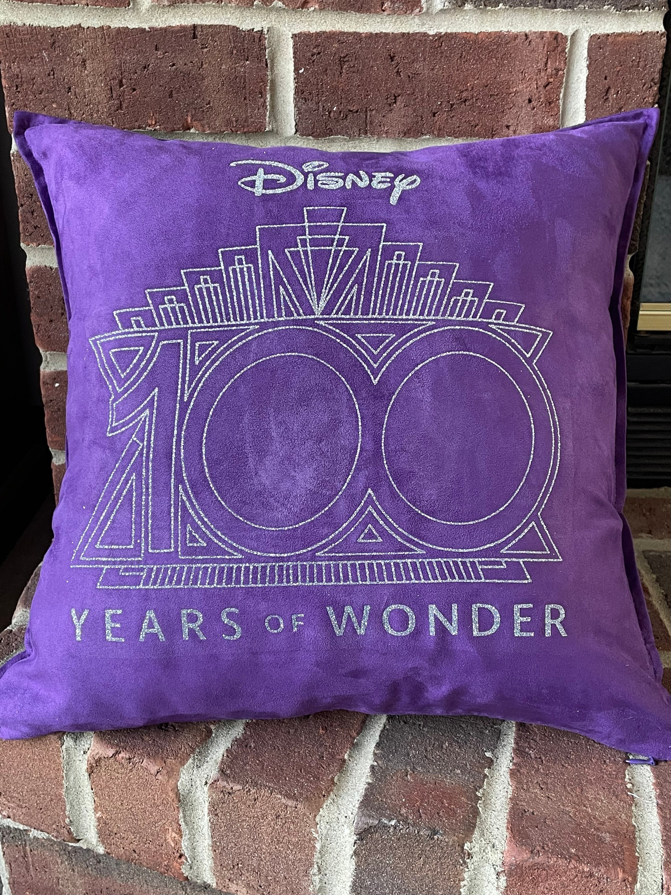 100 Years of Wonder Inspired Pillow Cover - Etsy