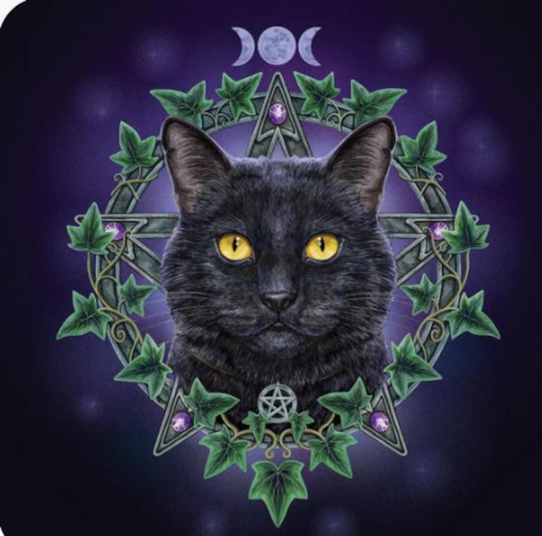 Beautiful Male Cat Spiritual Familiar / Remote Binding - Etsy