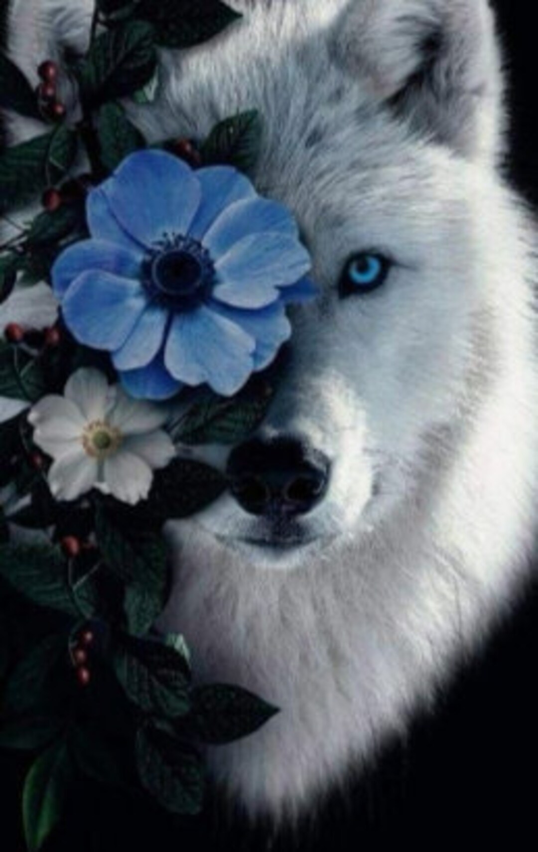 Female Lycan Wolf Spiritual Companion Direct Binding - Etsy