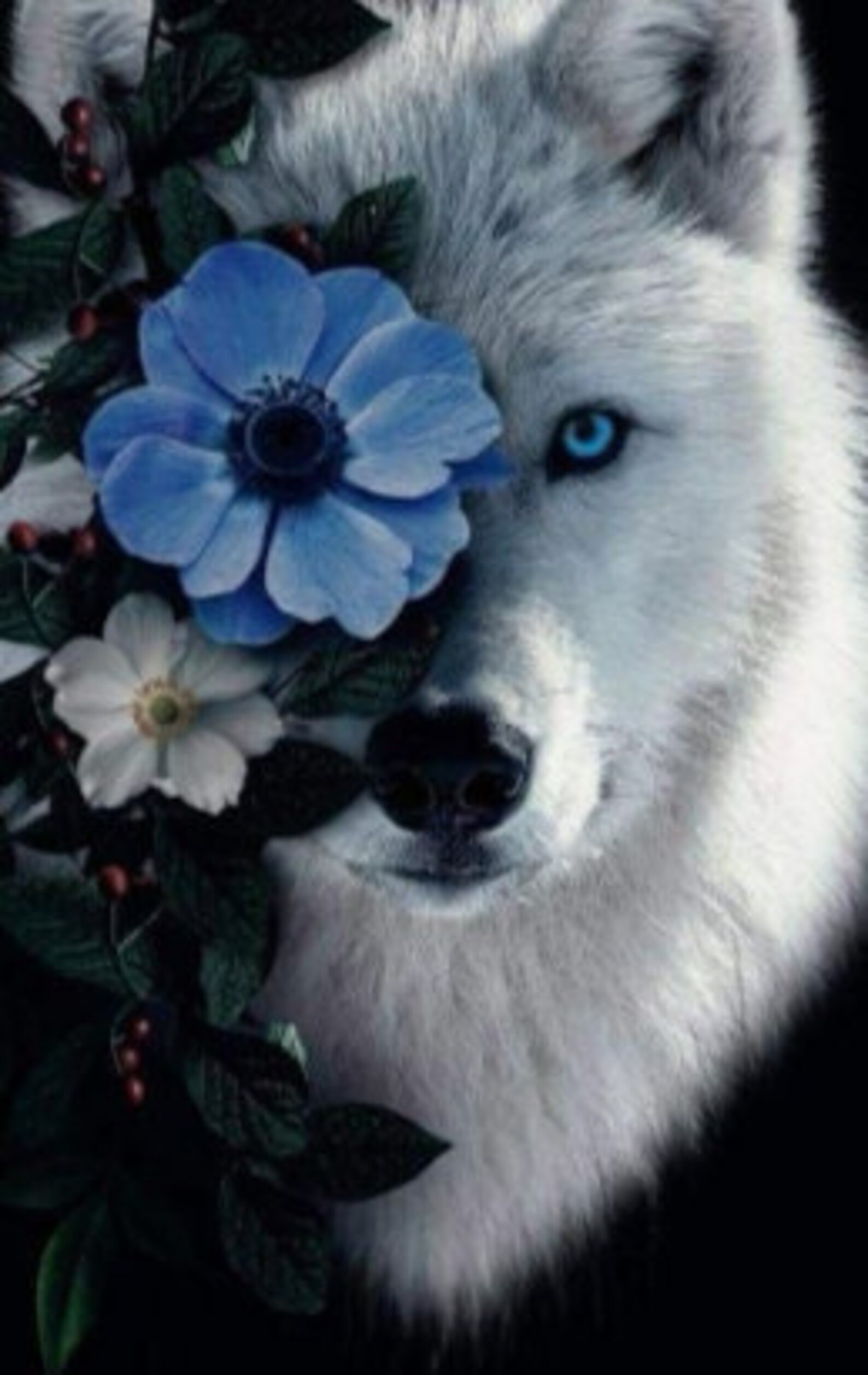 Female Lycan Wolf Spiritual Companion Direct Binding - Etsy