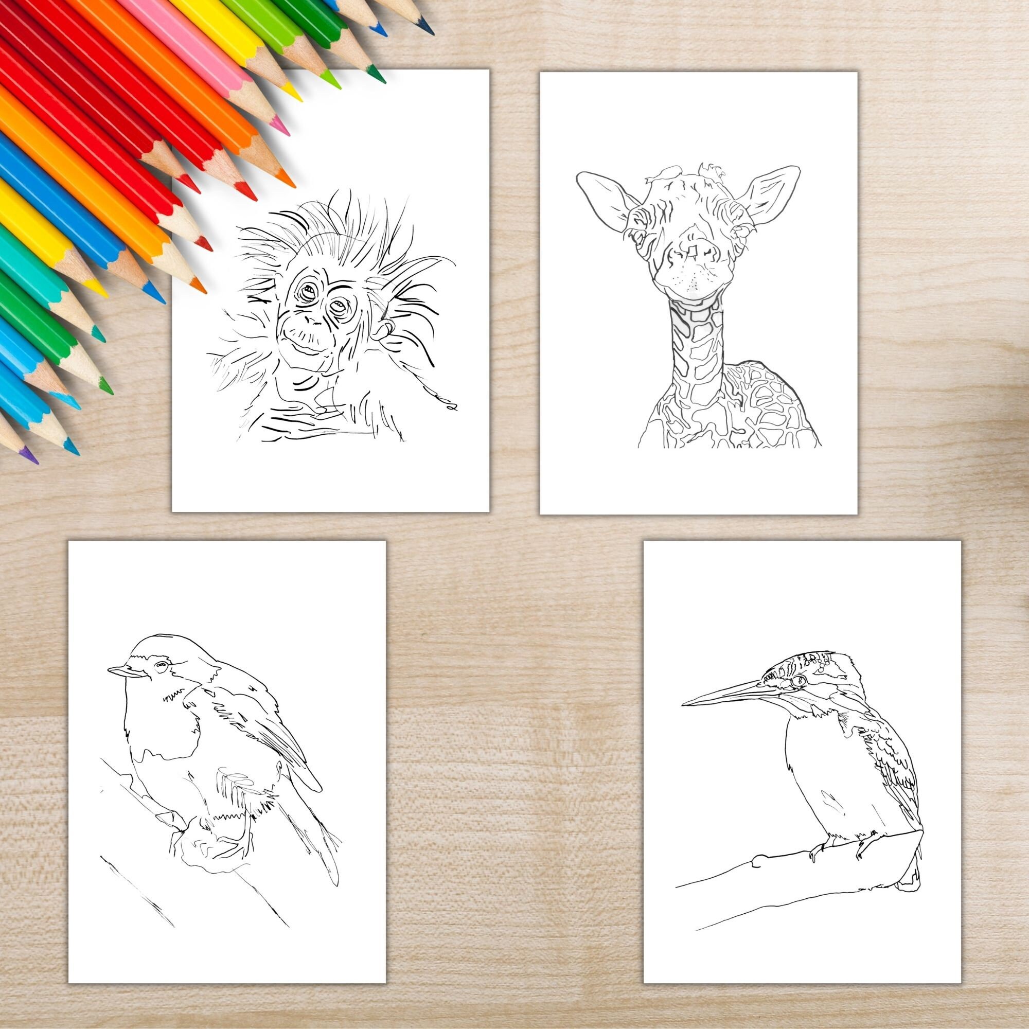 13 Wild Animal Colouring Pages DIGITAL DOWNLOAD/ Printable for Kids and ...