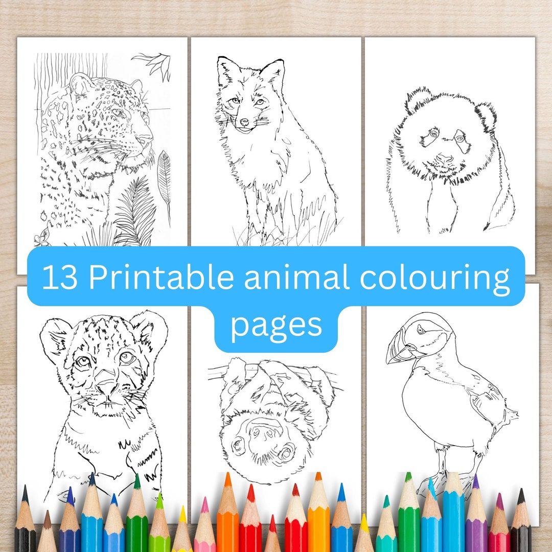 13 Wild Animal Colouring Pages DIGITAL DOWNLOAD/ Printable for Kids and ...