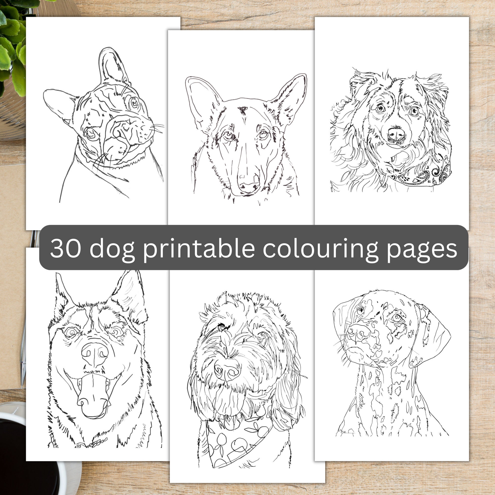 30 More Dog Colouring Pages DIGITAL DOWNLOAD/ Printable for Kids and ...