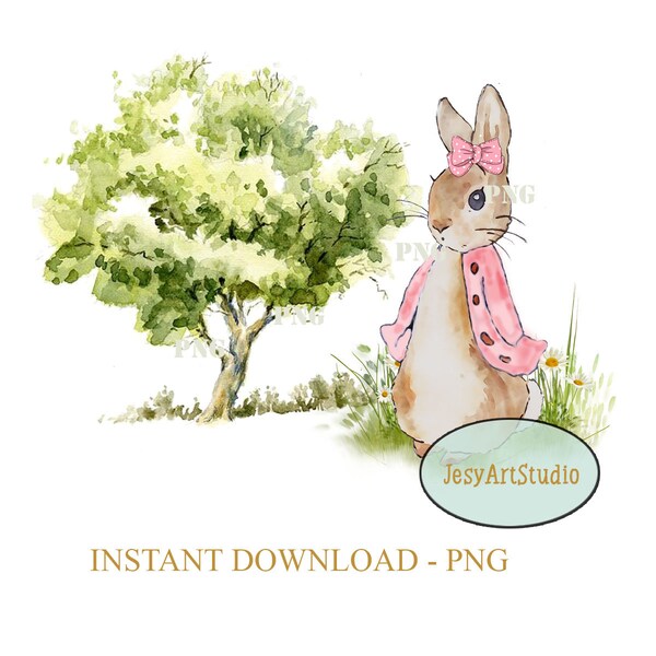 Pink Peter Rabbit Clipart - Etsy