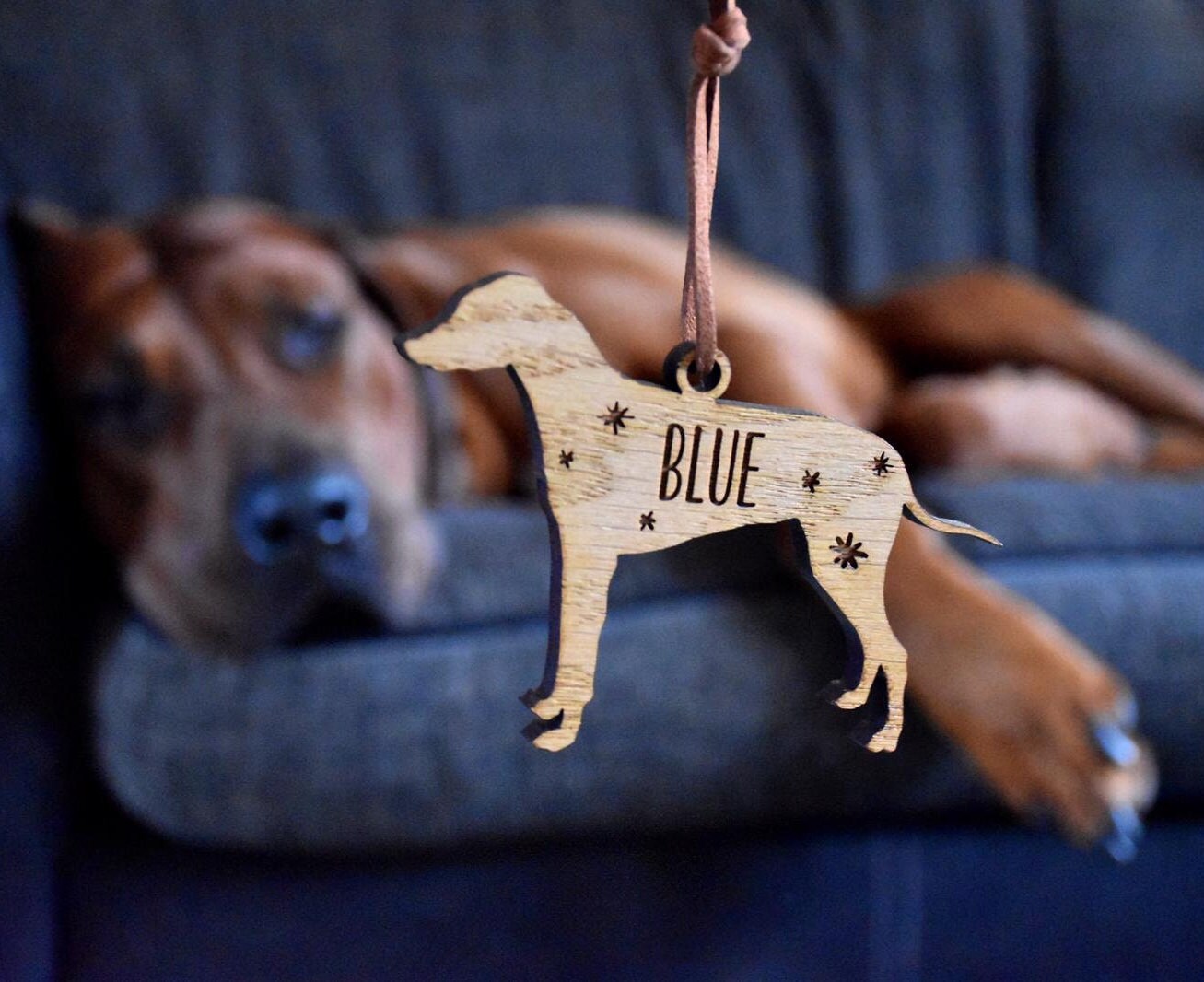 Christmas Personalised Dog Bauble Tree Decoration - Etsy