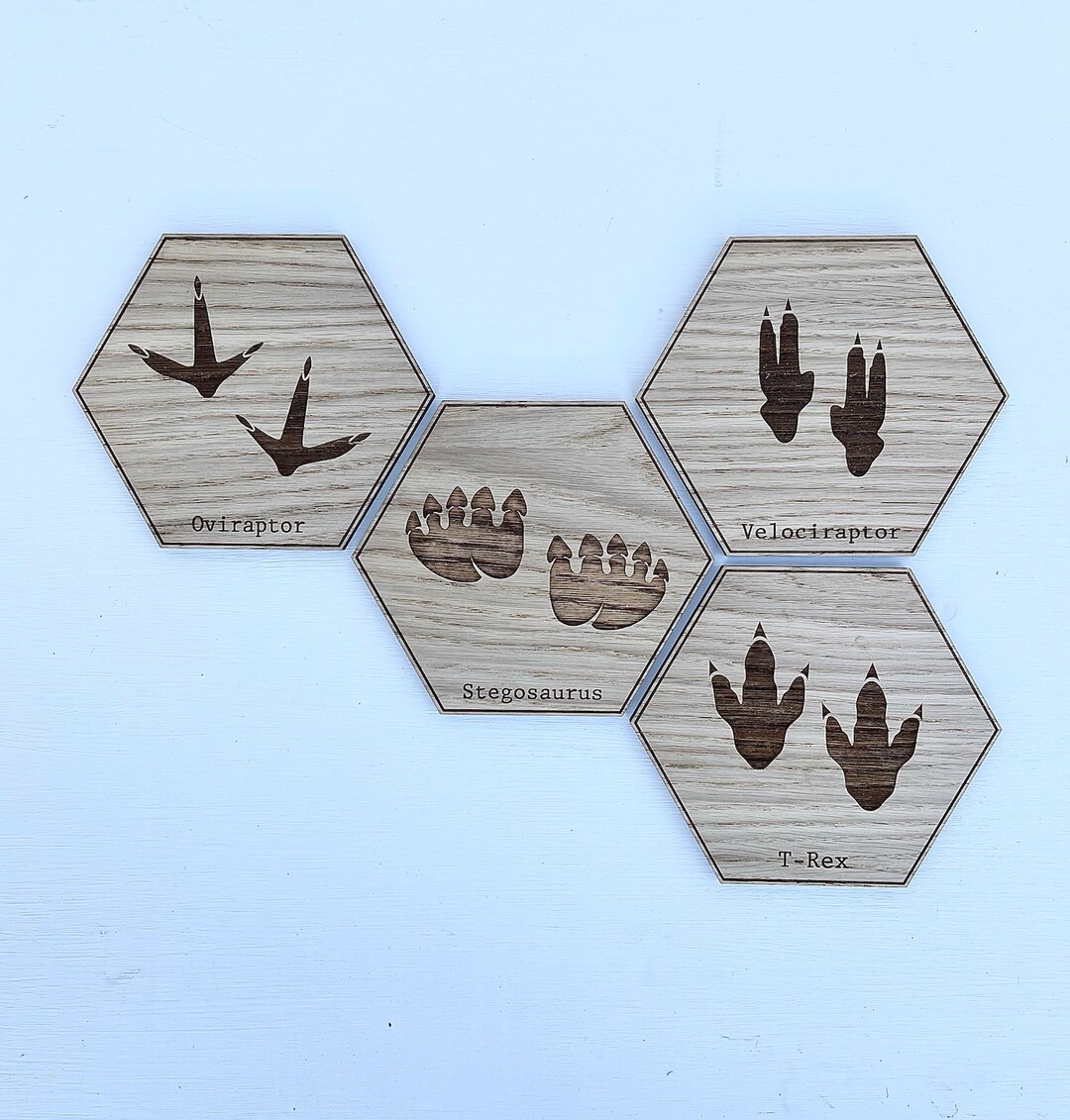 Dinosaur Footprint Wooden Wall Art: Hexagon Fossil Plaque - Etsy