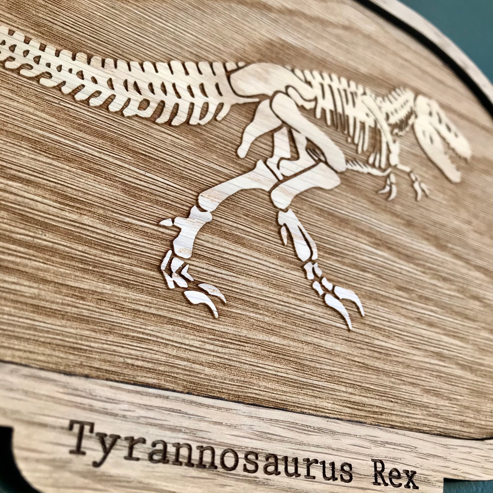 Dinosaur Fossil Wall Decor Art / Plaque - Nursery / Kids / Children ...