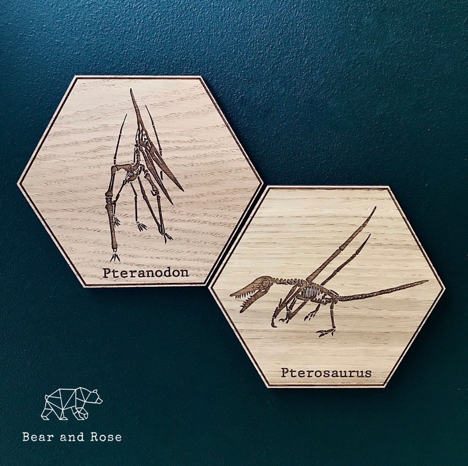 Dinosaur Wall Decor Fossil Bones Wooden Art / Plaque Nursery | Etsy