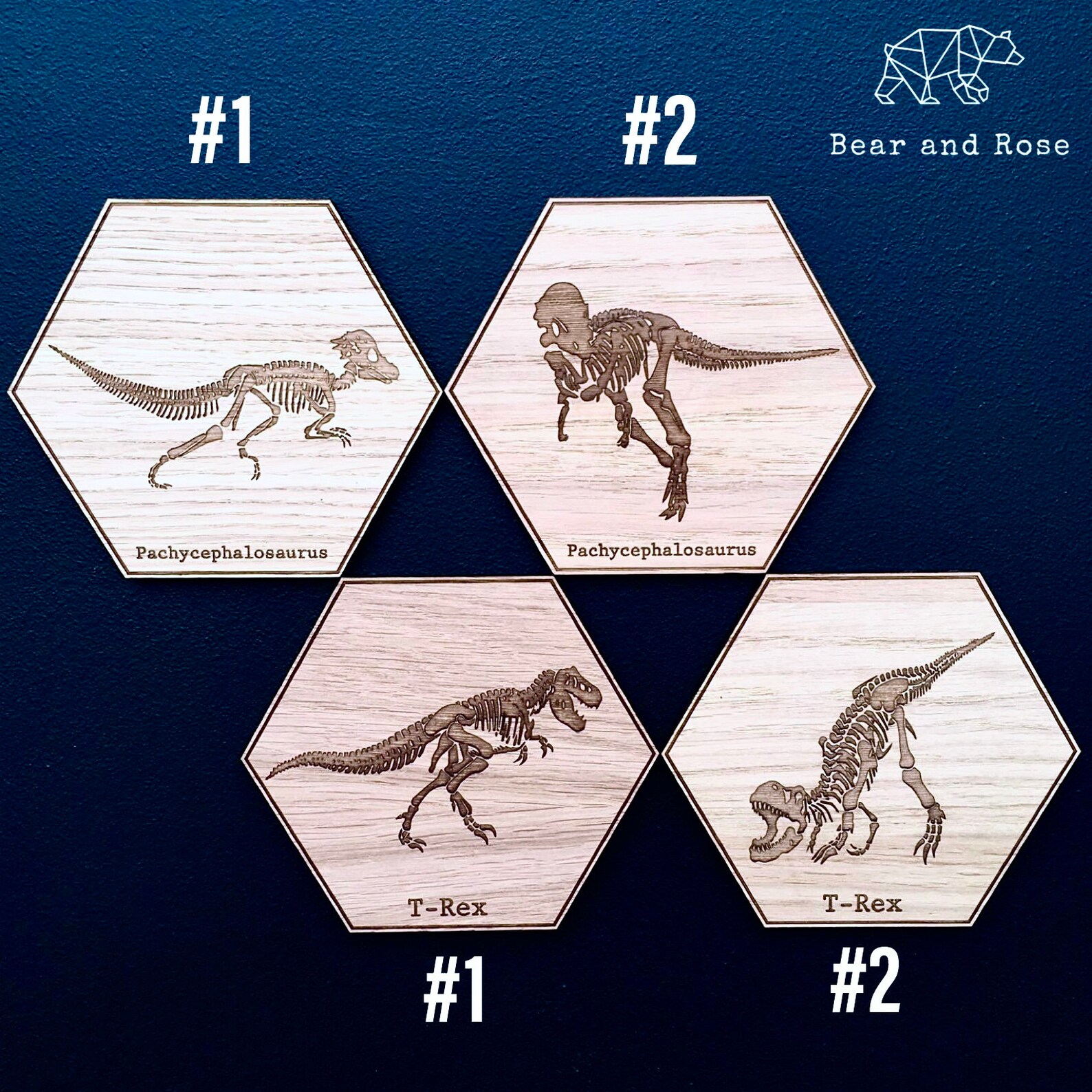 Dinosaur Wall Decor Fossil Bones Wooden Art / Plaque Nursery | Etsy