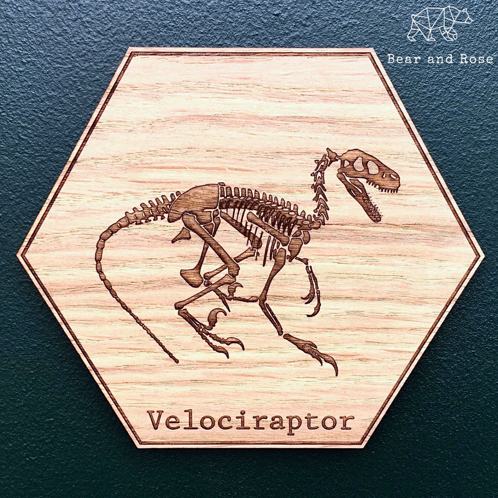 Dinosaur Wall Decor Fossil Bones Wooden Art / Plaque Nursery | Etsy