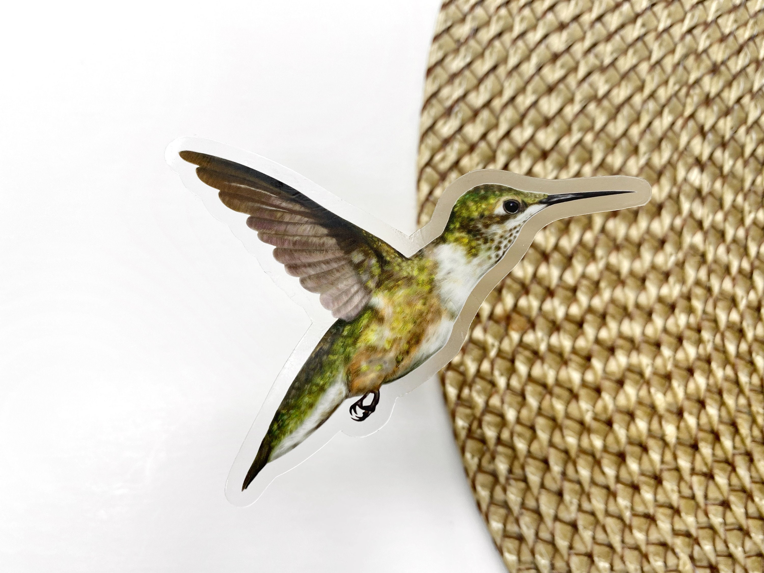 Hummingbird Sticker Vinyl Sticker Clear Vinyl Sticker | Etsy