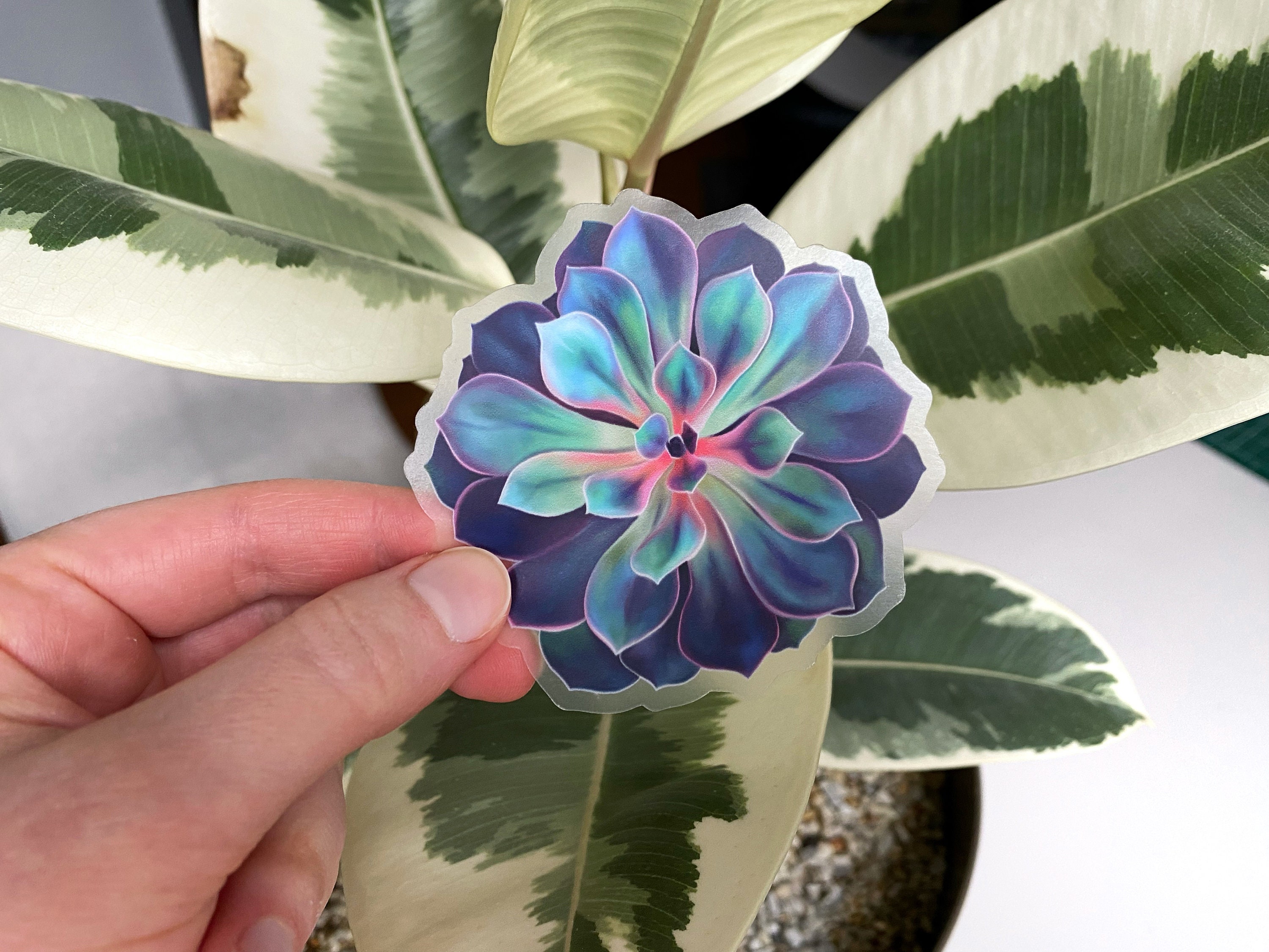Succulent Sticker - Plant Sticker - Colorful Succulent - Vinyl Sticker ...