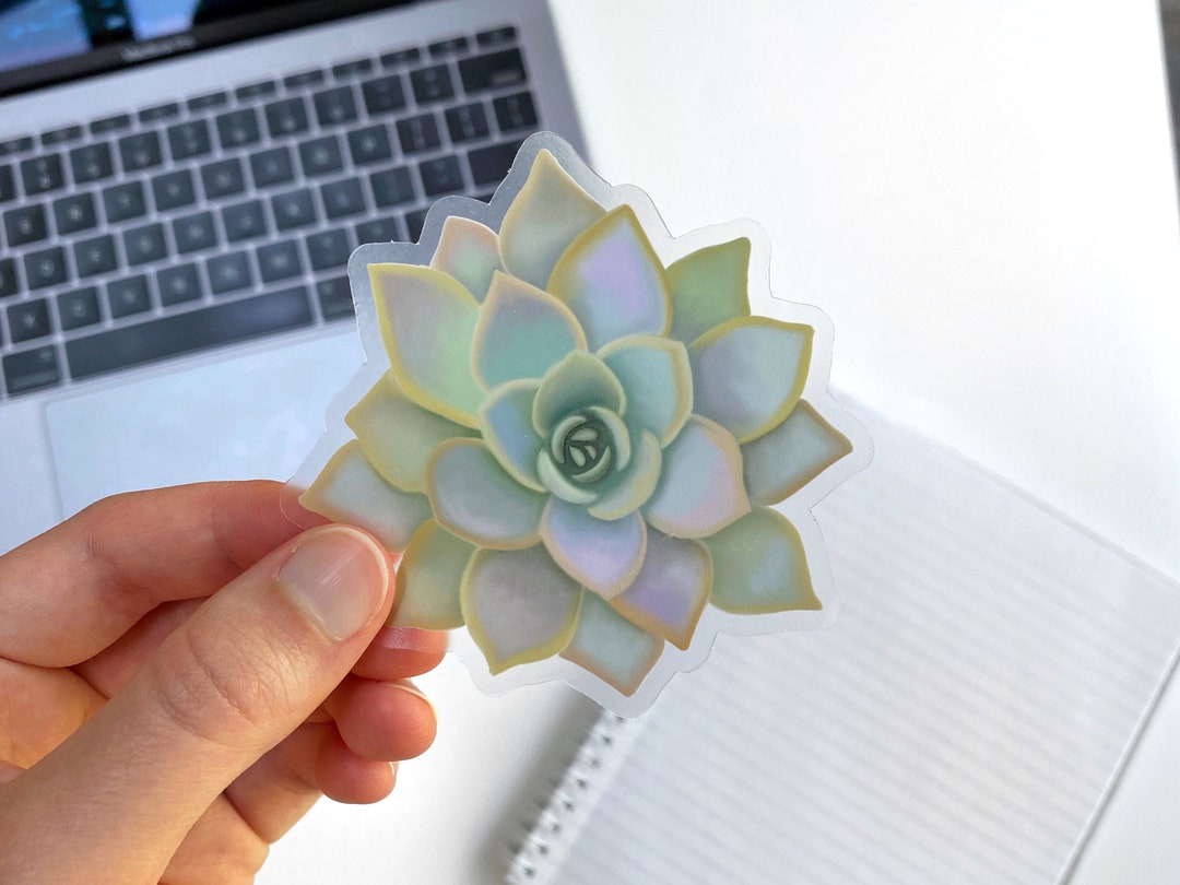 Succulent Sticker Clear Vinyl Sticker Waterbottle Sticker Laptop ...