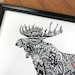 Canada Moose - Maple Leaf - Moose Zentangle - Art Print - Canadian Art ...