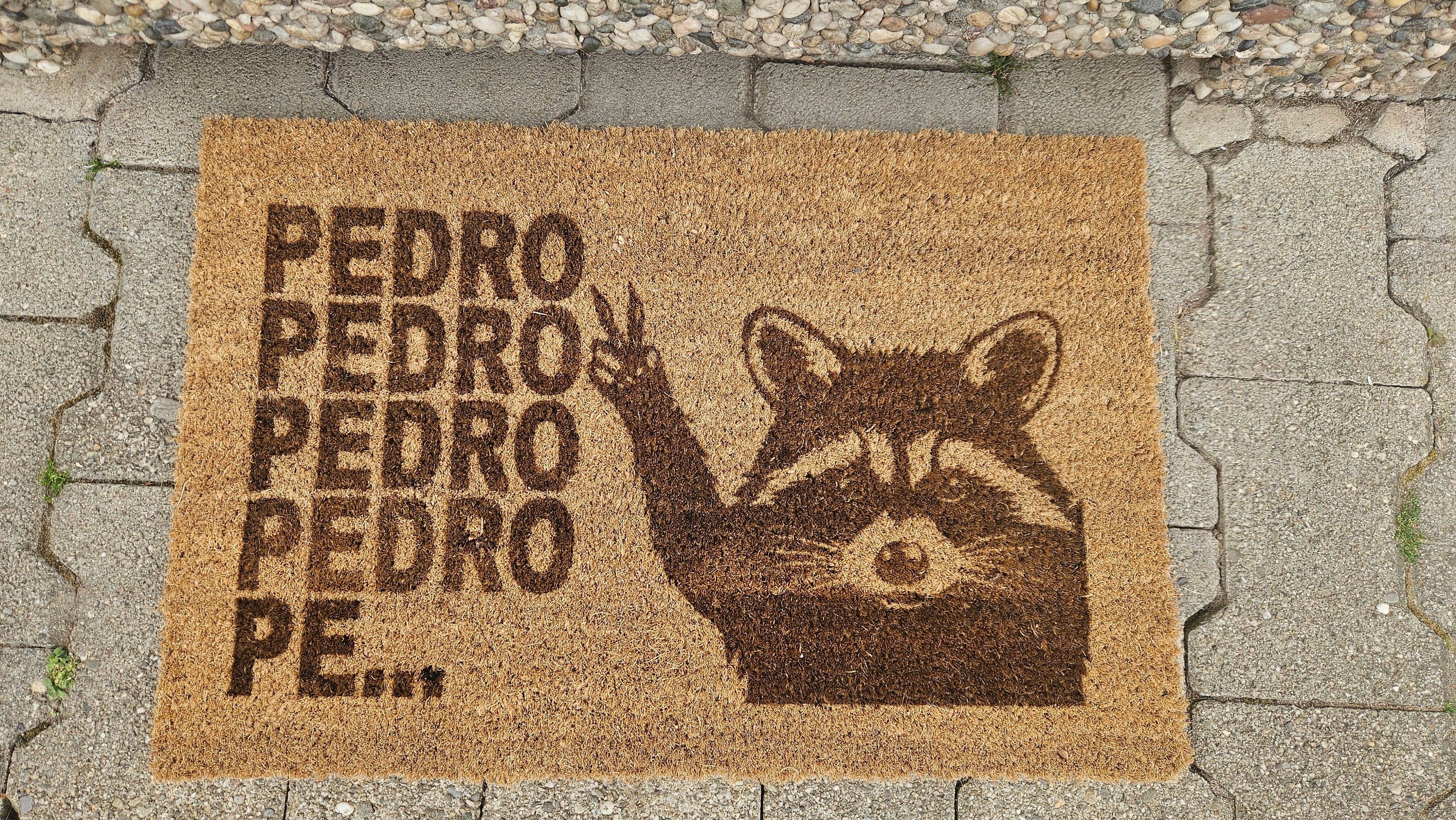 Pedro the Raccoon Raccoon. Coconut Doormat With Motif. Petro - Etsy