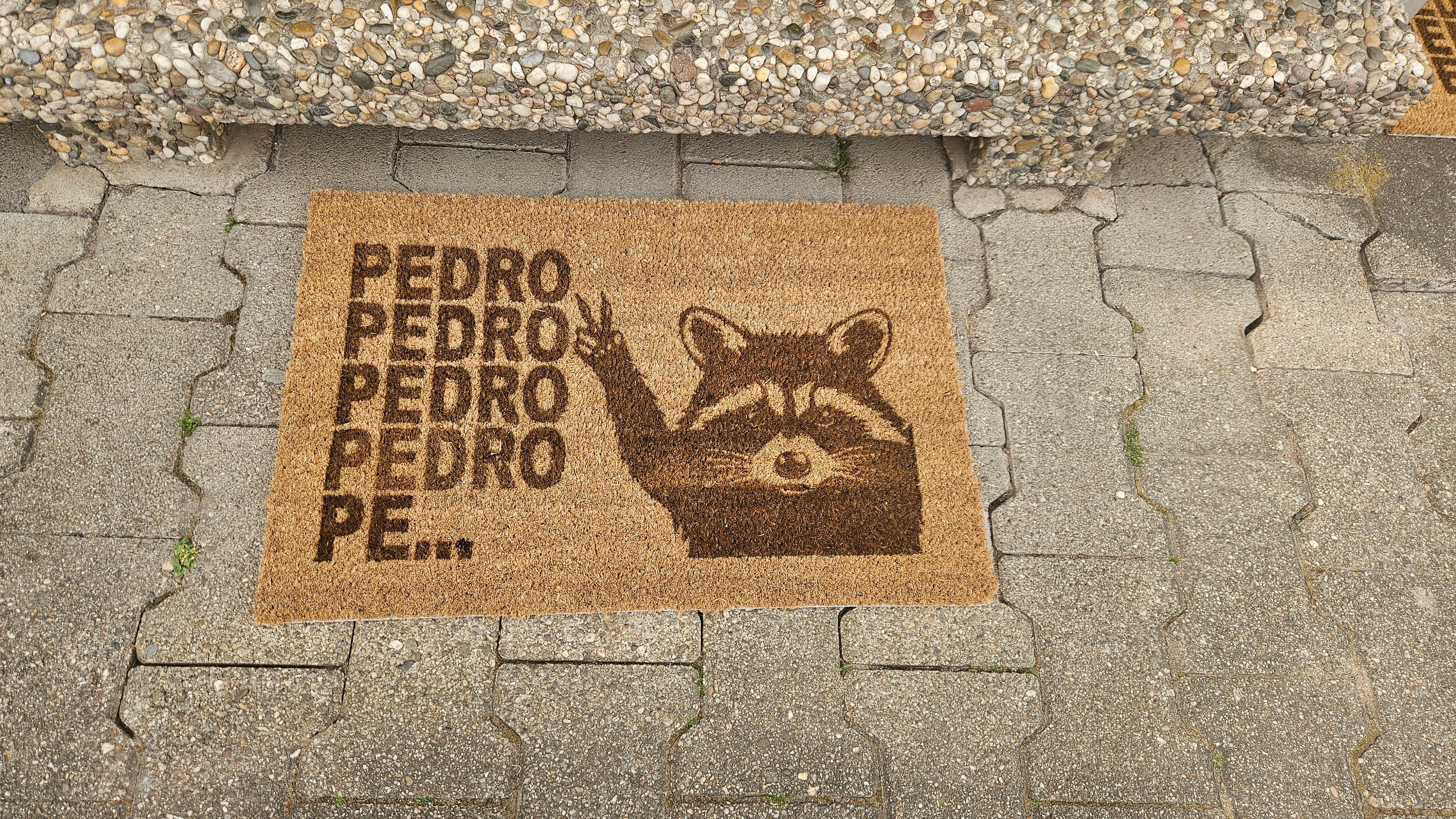 Pedro the Raccoon Raccoon. Coconut Doormat With Motif. Petro - Etsy