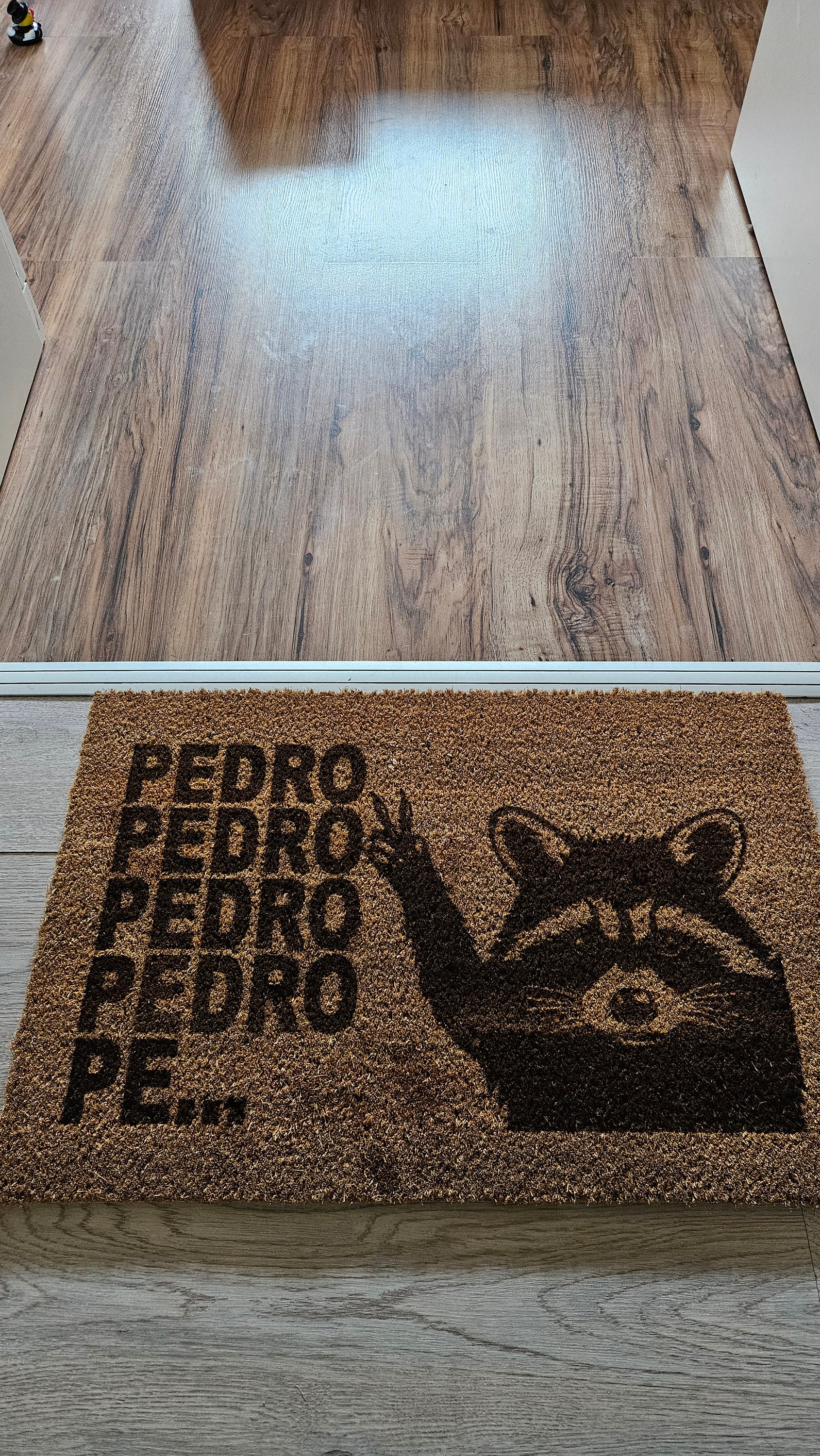 Pedro the Raccoon Raccoon. Coconut Doormat With Motif. Petro - Etsy