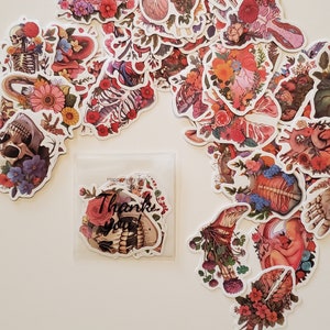 Anatomy Floral Theme Stickers, 8 PIECES, Set of Stickers, Biology ...