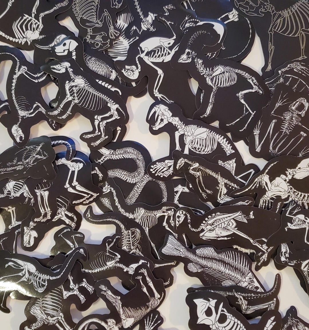 Animal Skeleton Stickers, 6 PIECES, Set of Stickers, Xray Animal ...