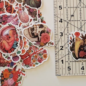 Anatomy Floral Theme Stickers, 8 PIECES, Set of Stickers, Biology ...