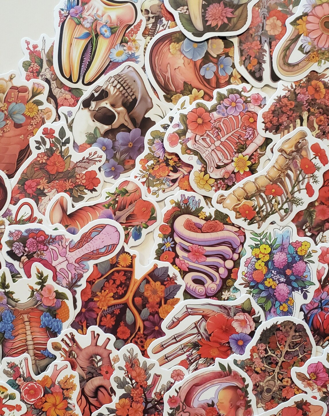 Anatomy Floral Theme Stickers, 8 PIECES, Set of Stickers, Biology ...