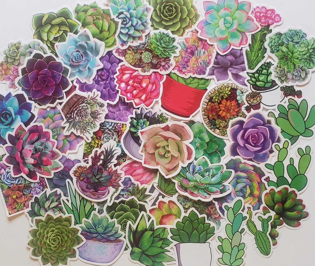 SUCCULENT Sticker Set, 10 PIECES, Succulents, Floral Stickers ...