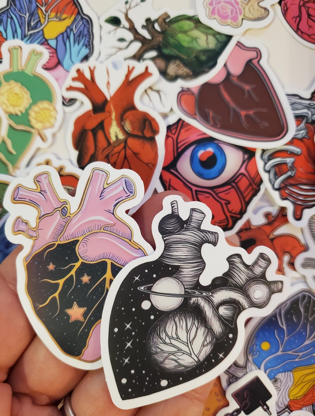 Anatomical Heart Stickers, 5 PIECES, Set of Stickers, Human Heart ...