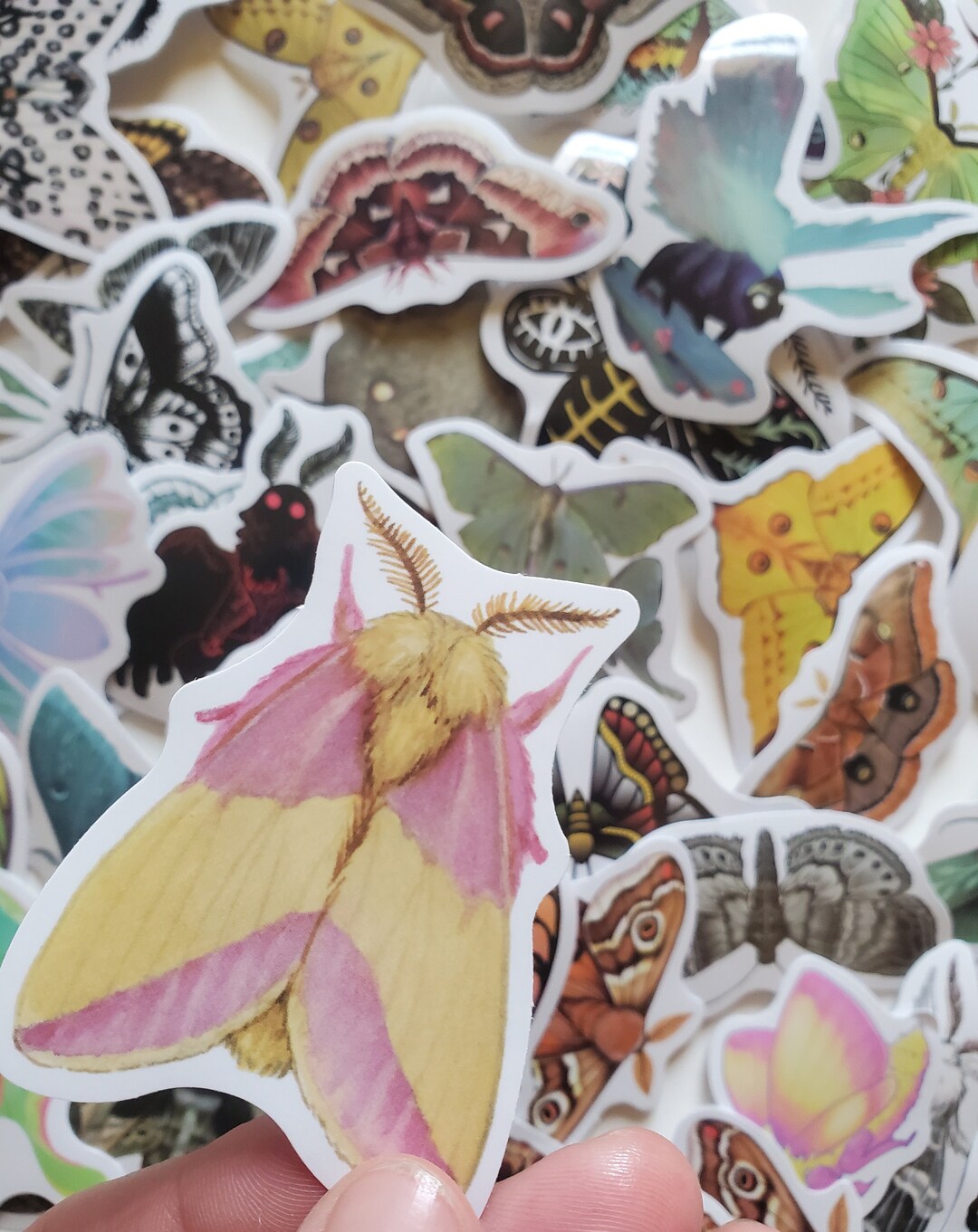 MOTH Stickers, 10 PIECES, Set of Stickers, Moth Sticker Set, UV ...