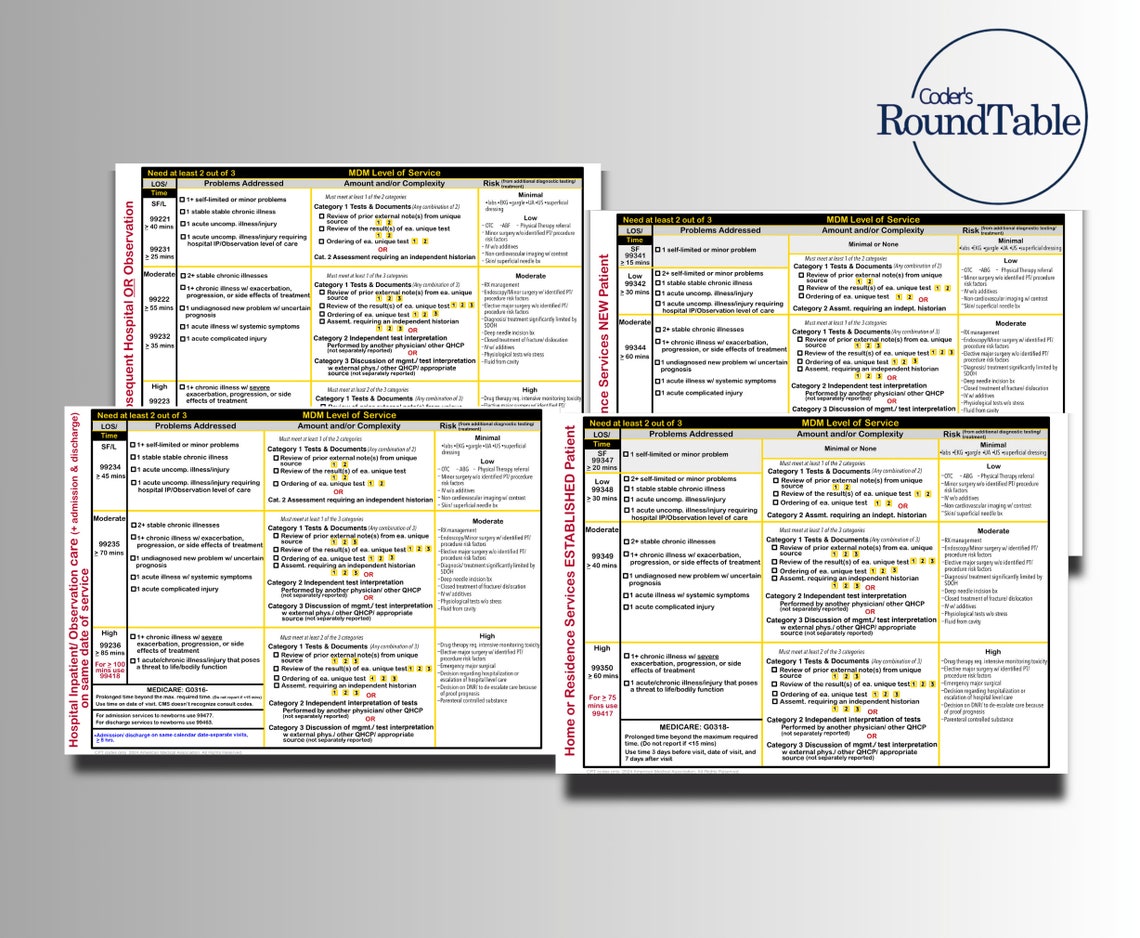 2024 E/M Guide Printable Digital Download - Etsy