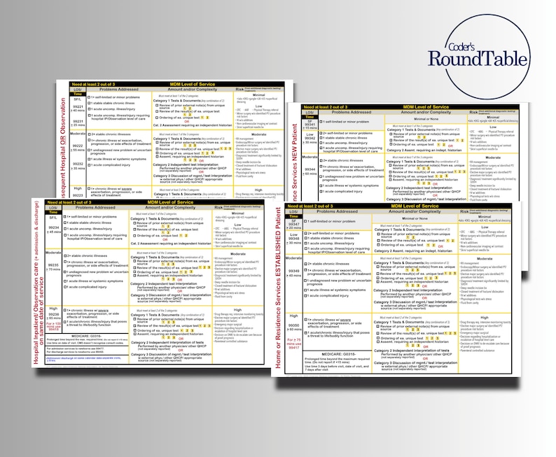 2024 E/M Guide Printable Digital Download - Etsy