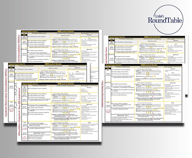 2024 E/M Guide Printable Digital Download - Etsy