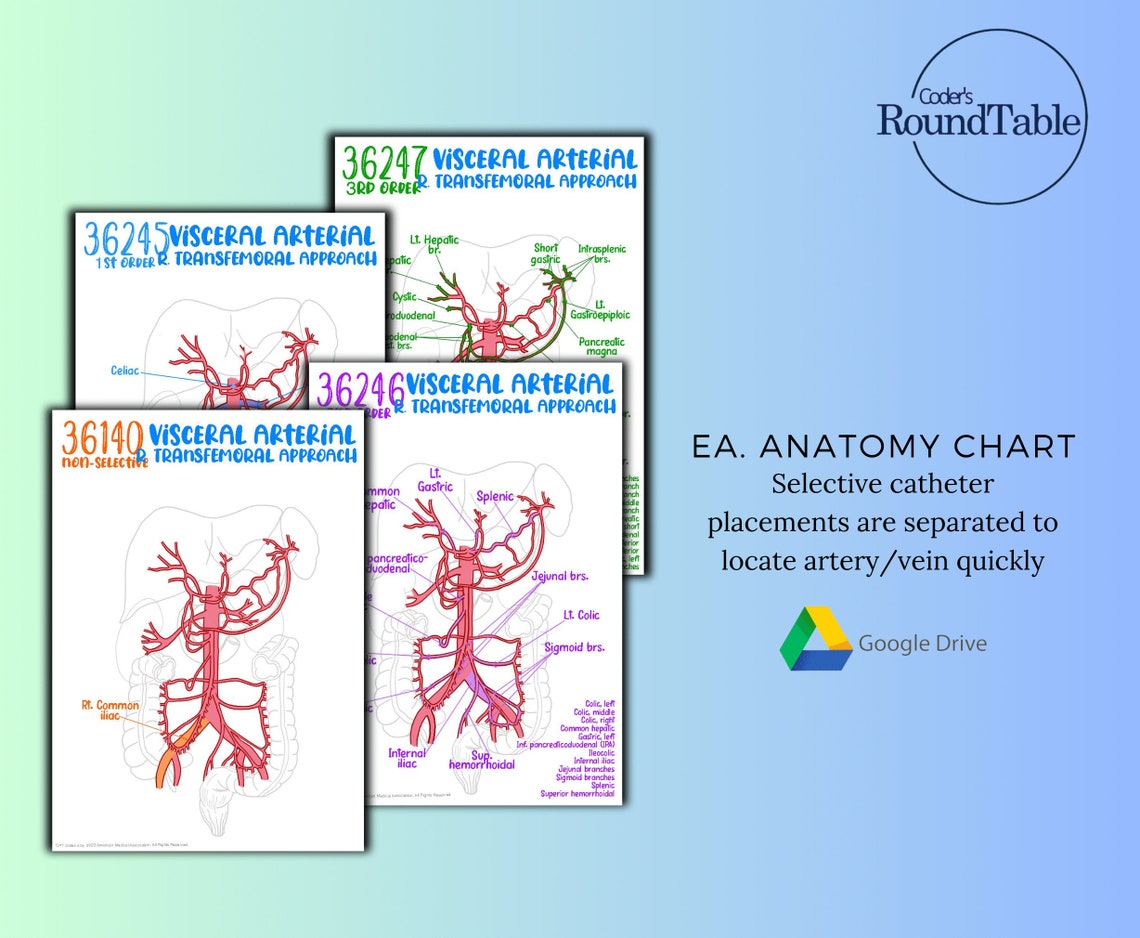 Interventional Radiology Coding Charts - Etsy