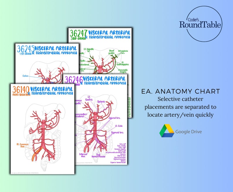 Interventional Radiology Coding Charts - Etsy