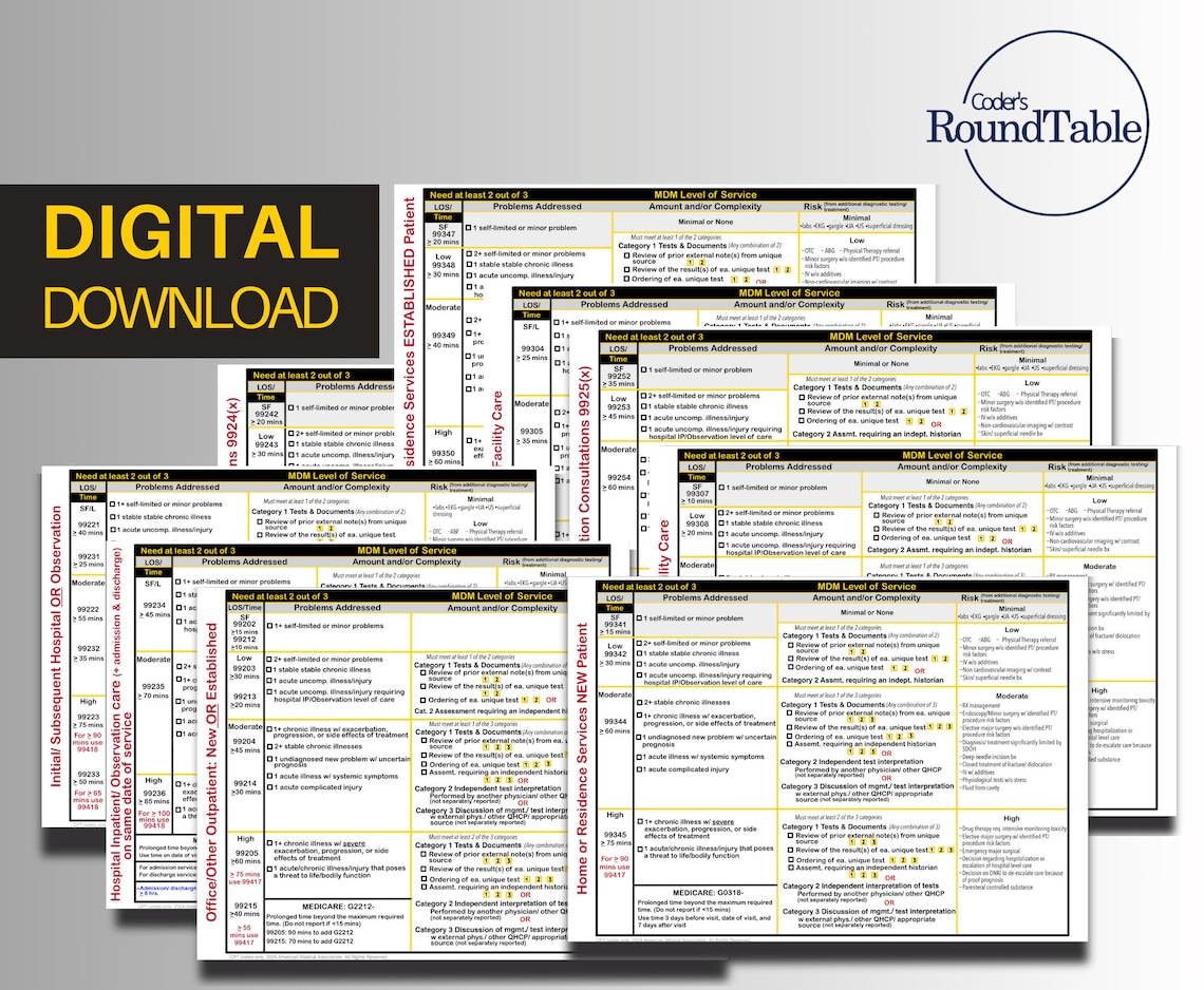 2024 E/M Guide Printable Digital Download - Etsy
