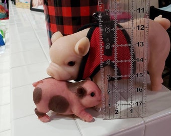 Silicone Pigs - Etsy