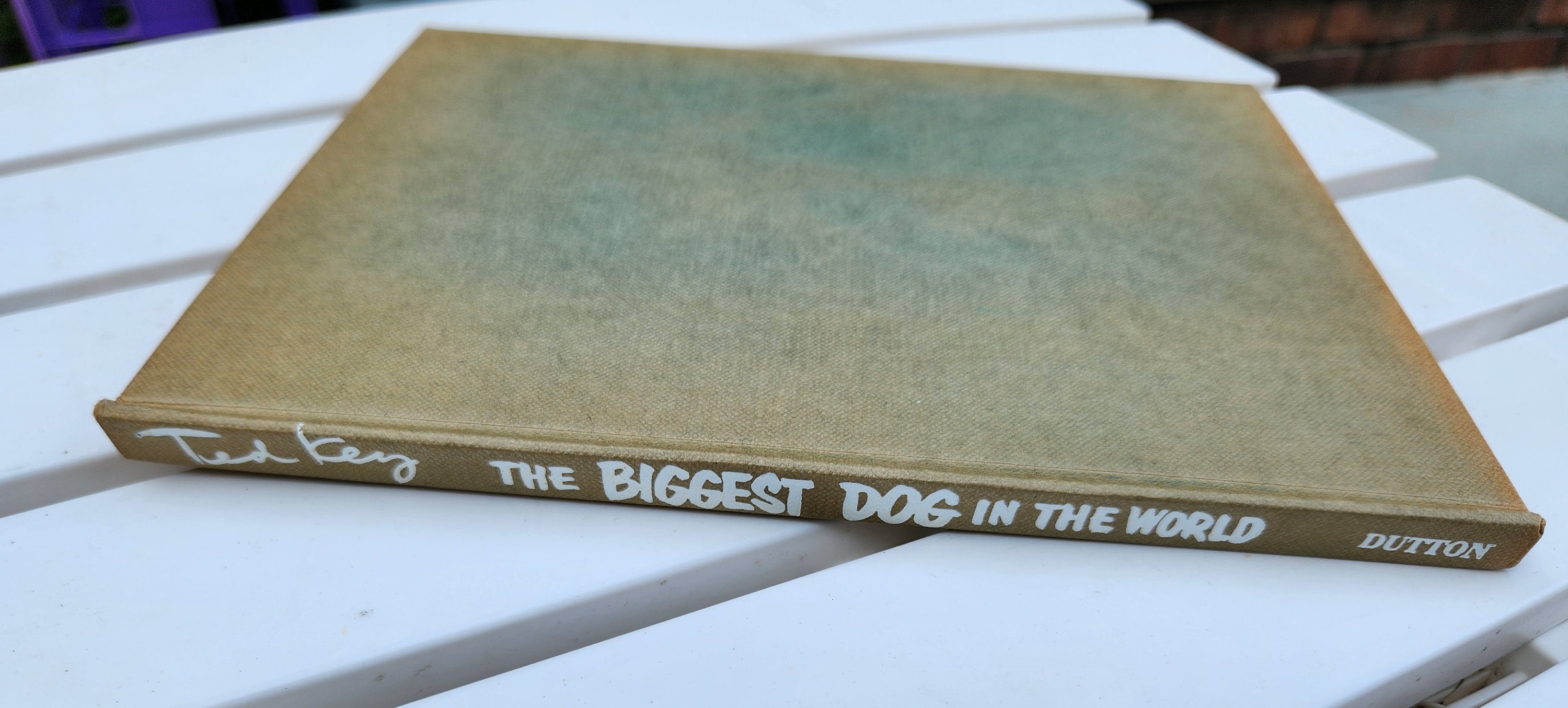 The Biggest Dog in the World by Ted Key, 1960. 1st Edition 1st Printing ...