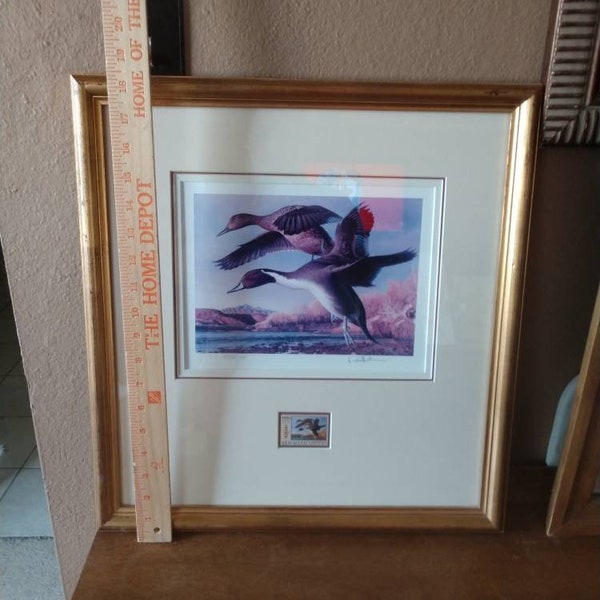 Framed Duck Stamp Print - Etsy