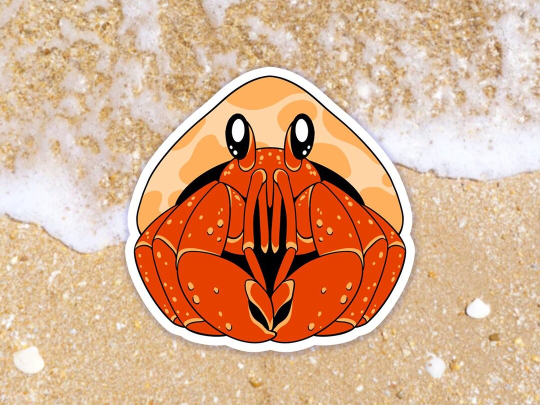 Hermit Crab Sticker, Cute Vinyl Waterproof Sticker, Gift for Hermit ...