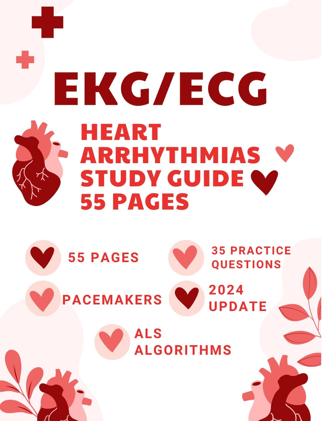2024 Updated EKG/ECG Heart Arrhythmias Study Guide 55 Pages, 35 ...